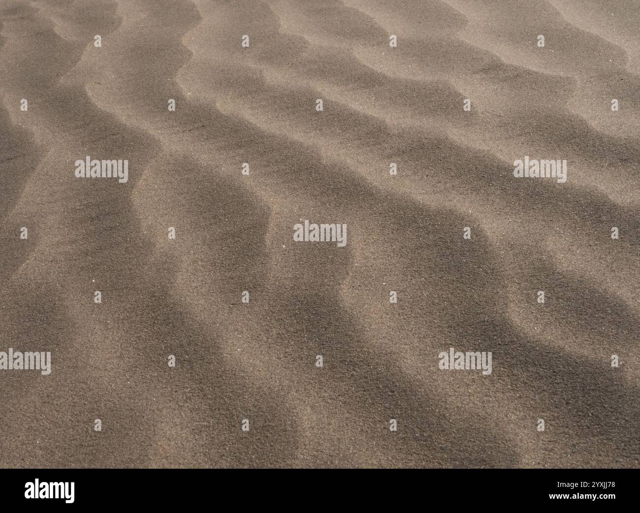 Shale rich sand hi-res stock photography and images - Alamy