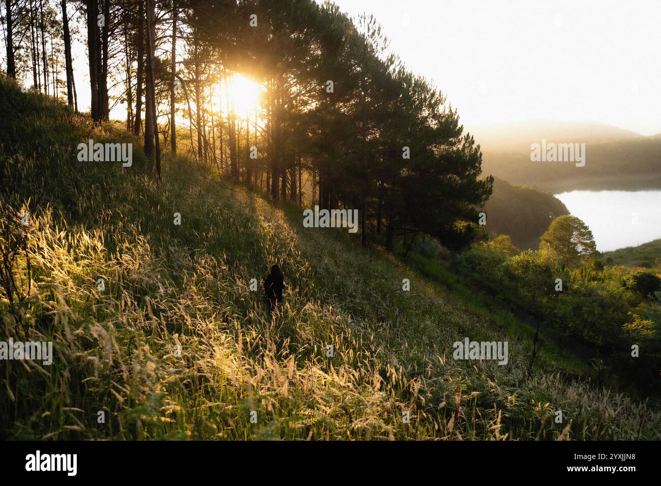 Men in nature hi-res stock photography and images - Alamy