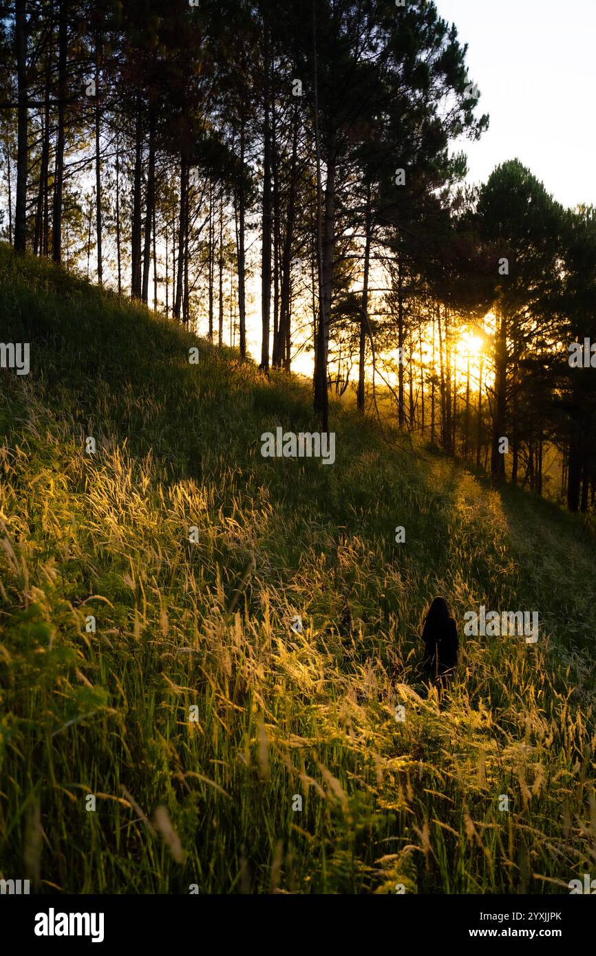 Men in nature hi-res stock photography and images - Alamy