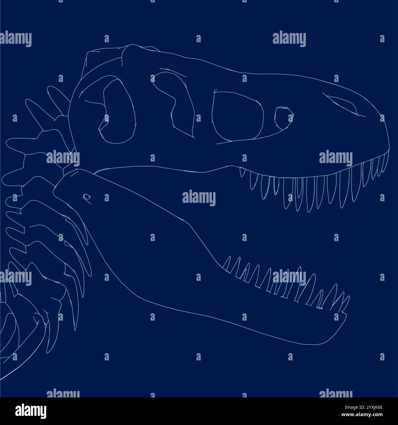 Contour skull dinosaur vector illustration. Side view Stock Vector Image & Art - Alamy