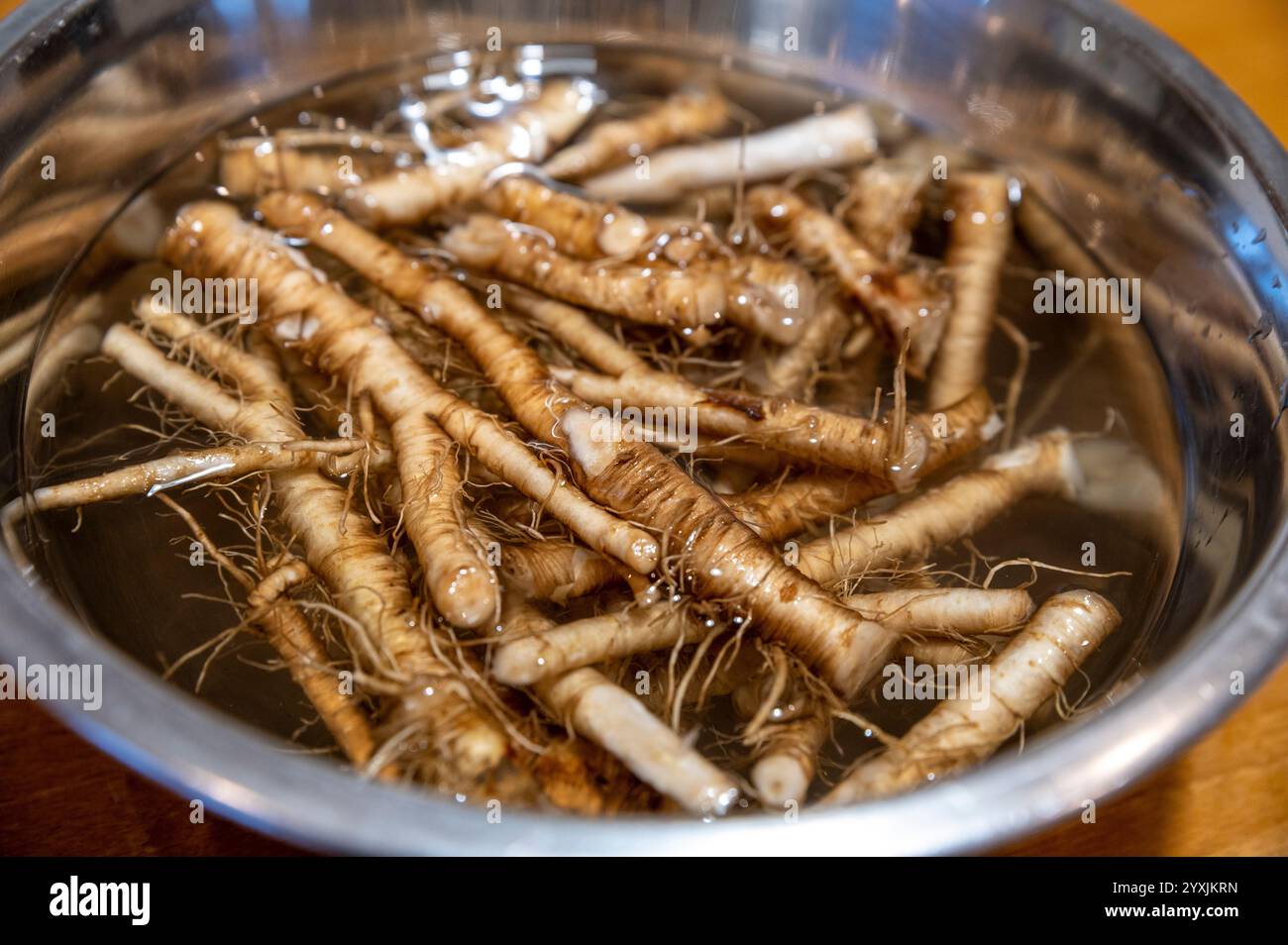 Fresh dandelion plant and roots hi-res stock photography and images - Alamy