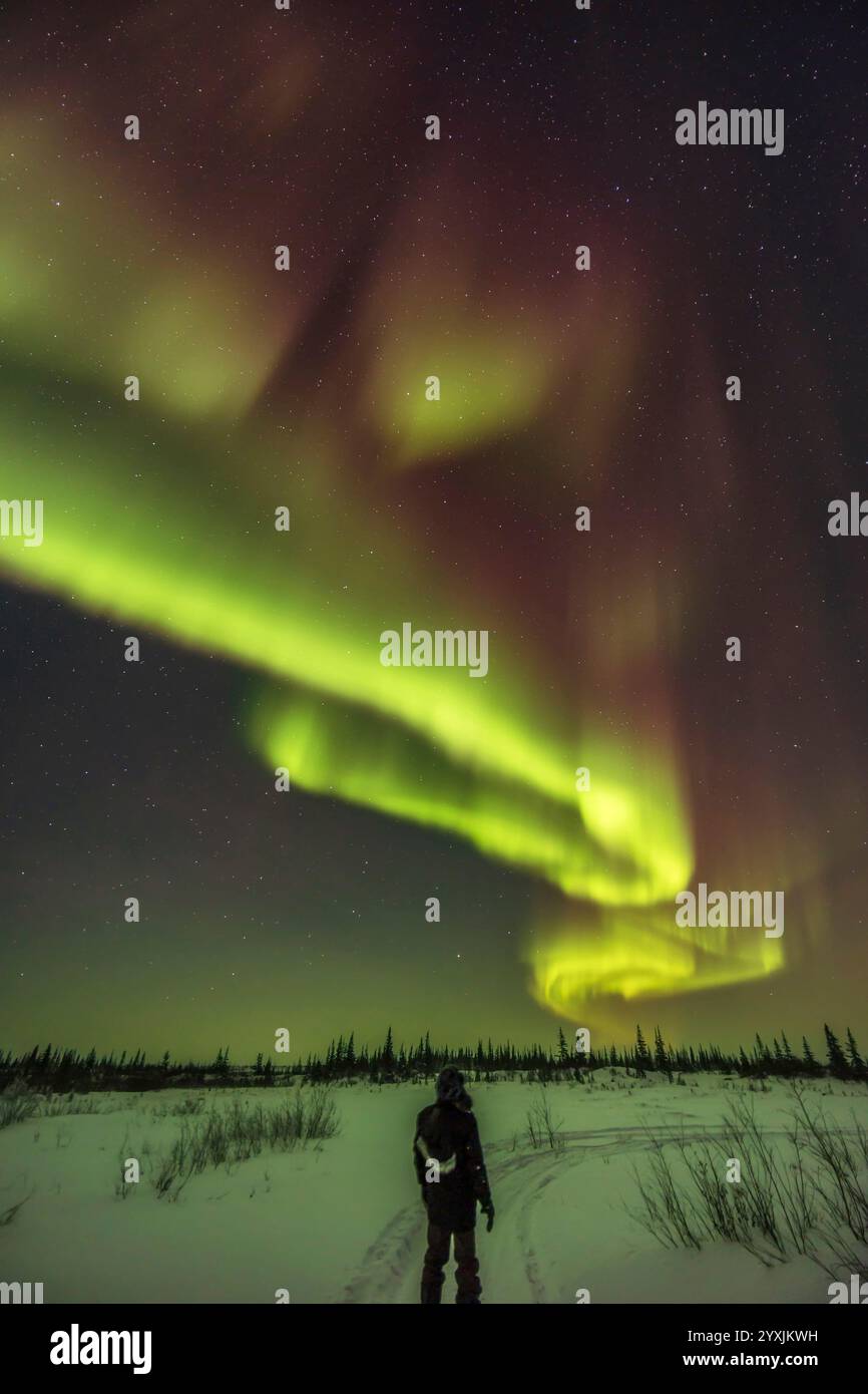 An aurora selfie under the arc of the northern lights in Churchill ...