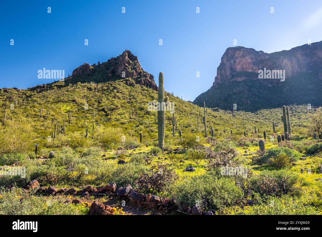 An overlooking view of Picacho Peak SP, Arizona Stock Photo - Alamy