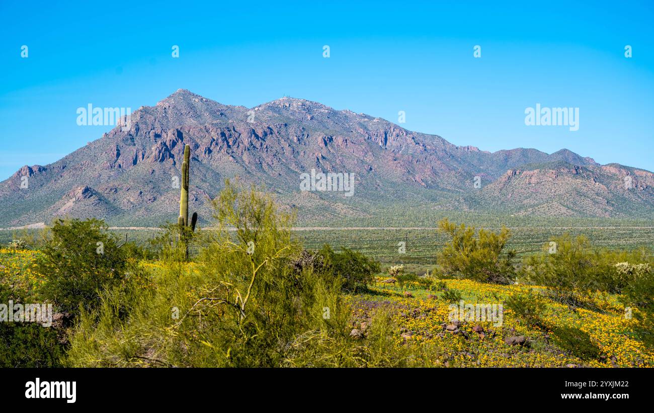 An overlooking view of Picacho Peak SP, Arizona Stock Photo - Alamy