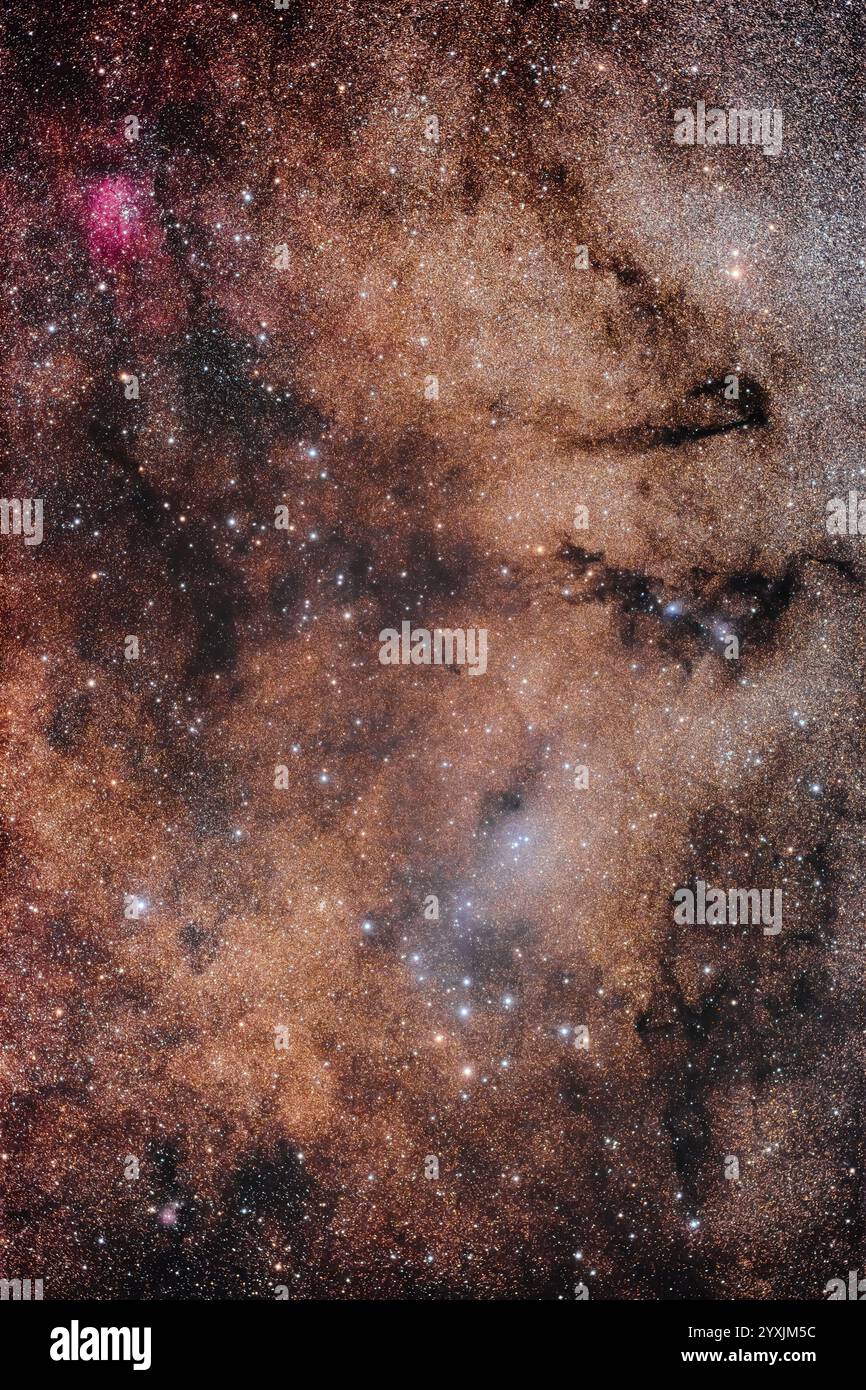 A rich starfield in the constellation of Vulpecula the Fox, in the ...