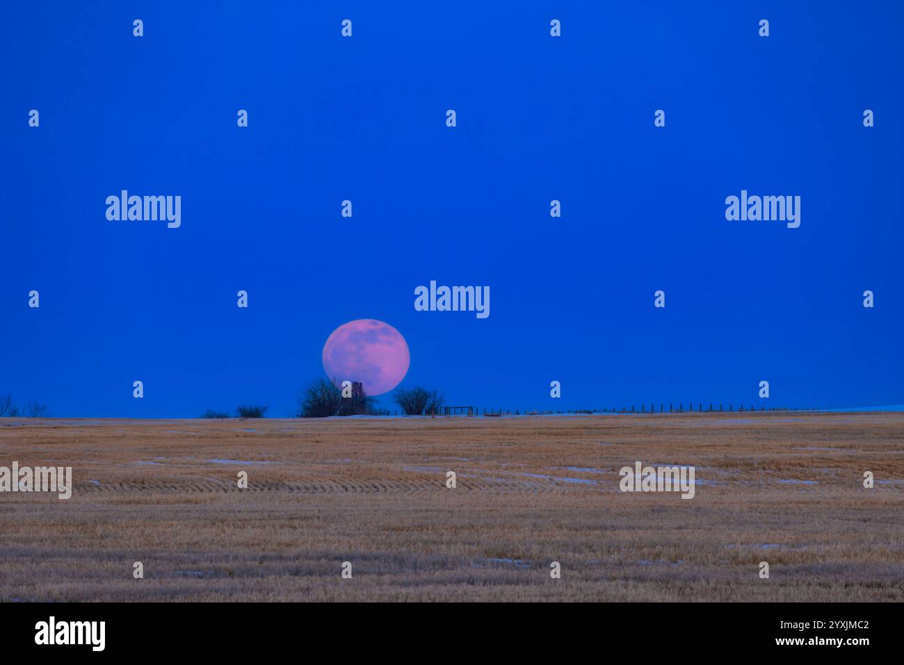 The rising of the Full Moon in southern Alberta, Canada Stock Photo - Alamy
