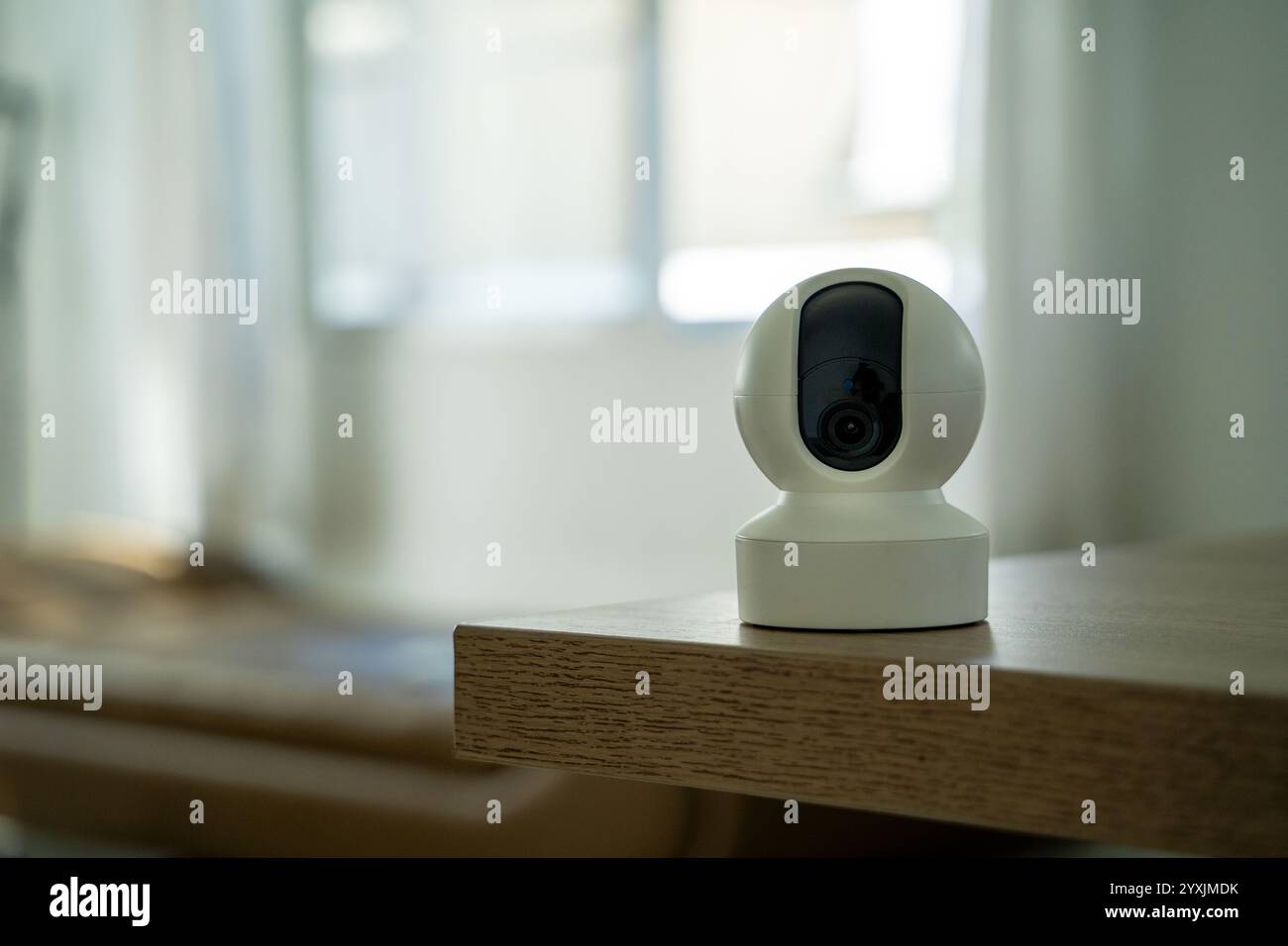 home security camera Smart CCTV cameras detect your beloved cat for ...