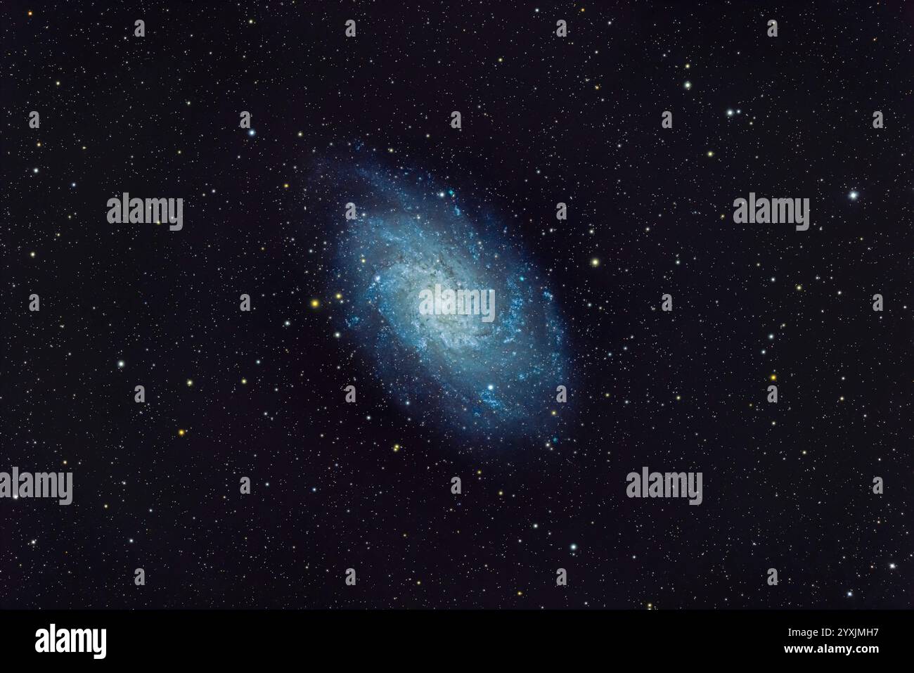 Messier 33 galaxy in Triangulum Stock Photo - Alamy