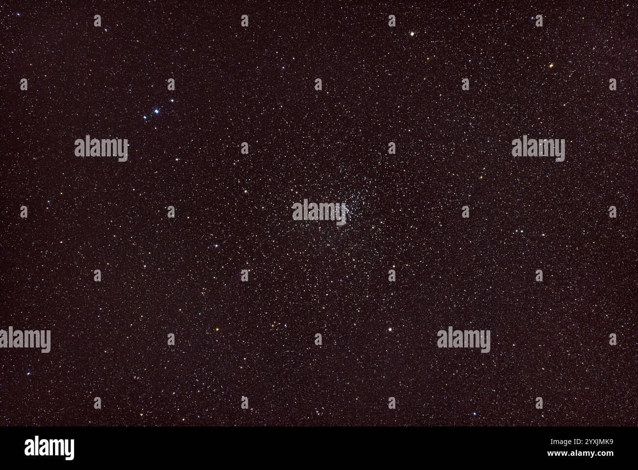 The star cluster Messier 48 in Hydra the Water Snake Stock Photo - Alamy