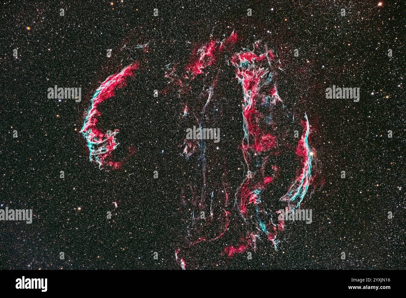 The Veil Nebula complex in Cygnus, aka the Cygnus Loop or Cirrus Nebula ...