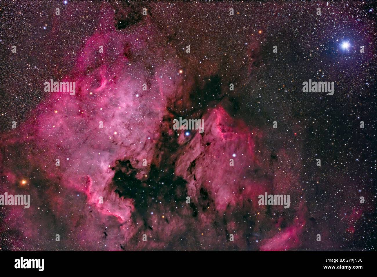 The North America Nebula, NGC 7000 and its companion Pelican Nebula ...