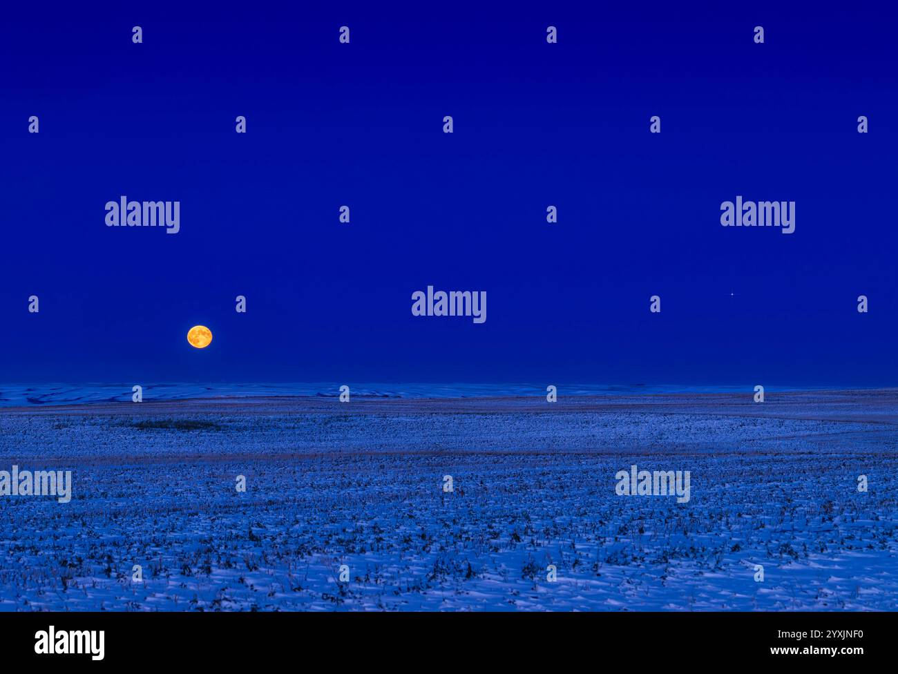 The Moon rising over a prairie horizon, with Jupiter at right Stock ...