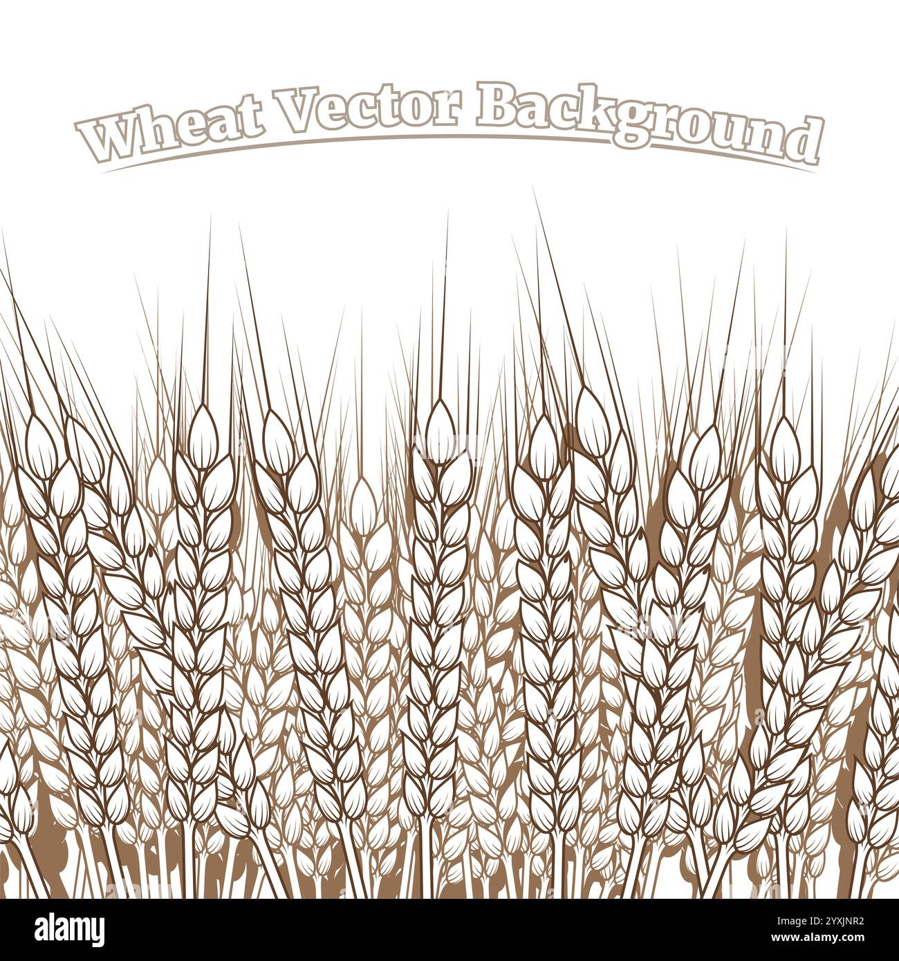 Wheat vector background Stock Vector Image & Art - Alamy