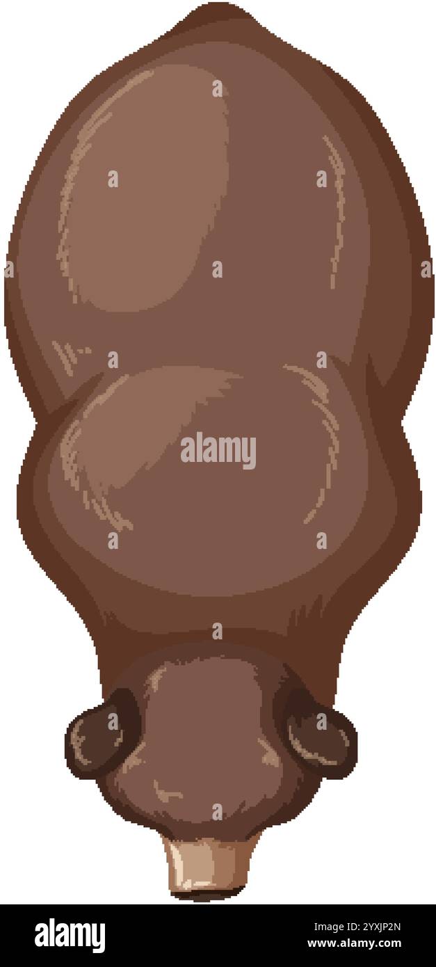 Detailed vector illustration of a bison from above Stock Vector Image ...