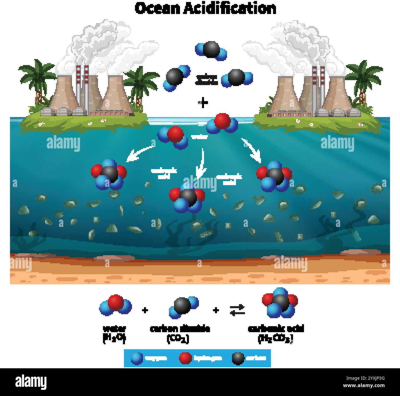 Illustration of ocean acidification process and chemical reactions ...