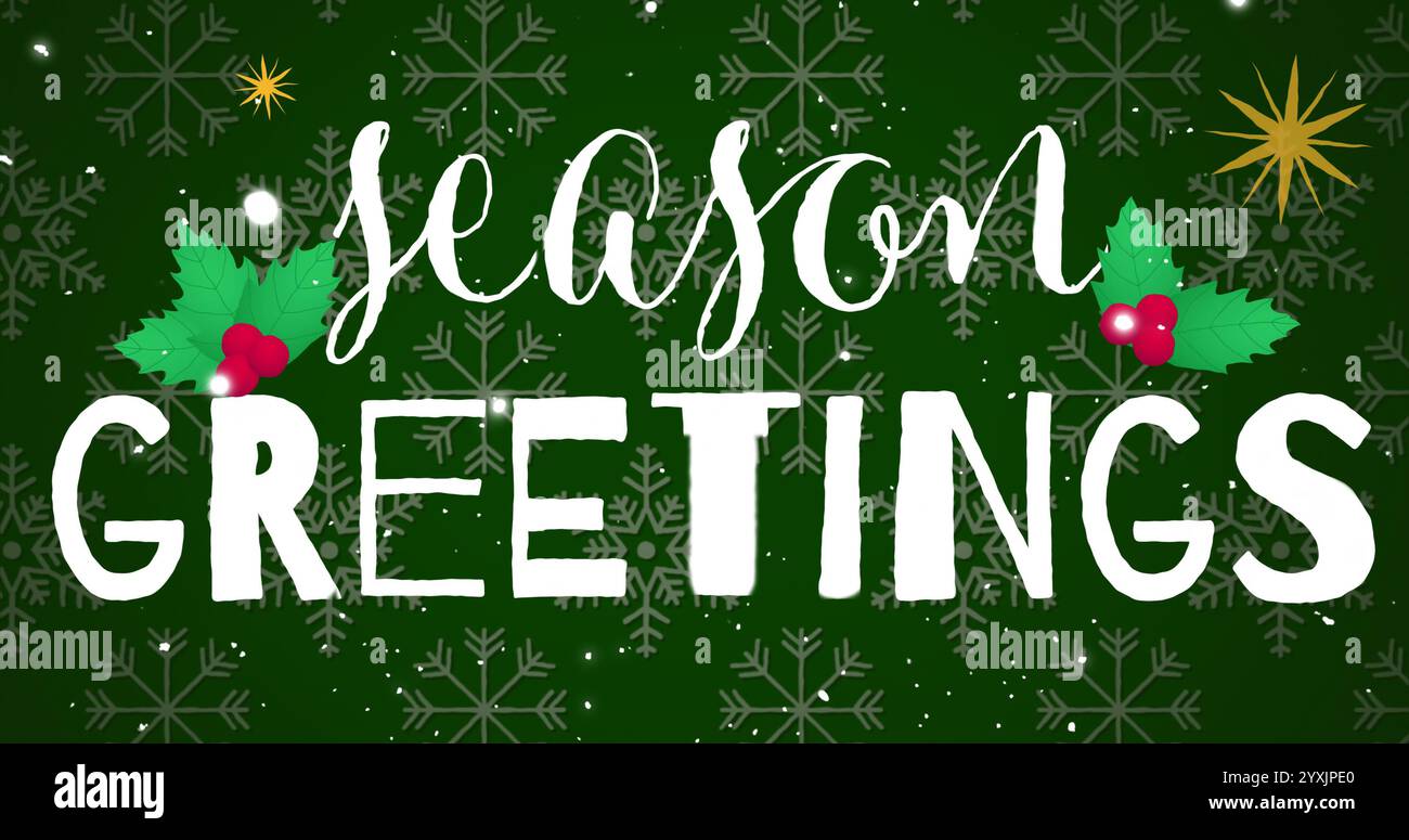 Image of snow falling and season greetings text over snowflakes on ...