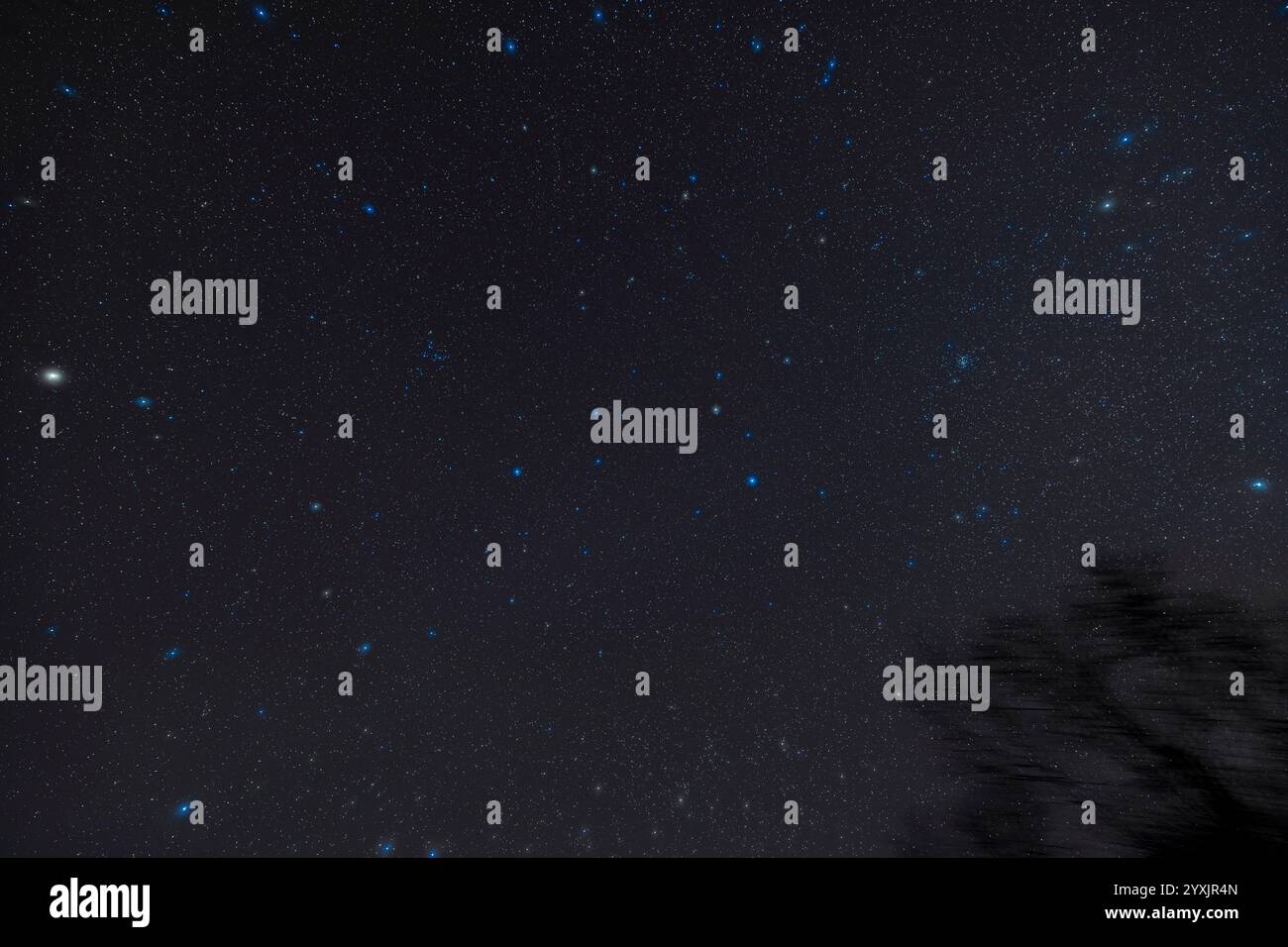 A wide view of the northern spring seasonal consellations, from Procyon ...