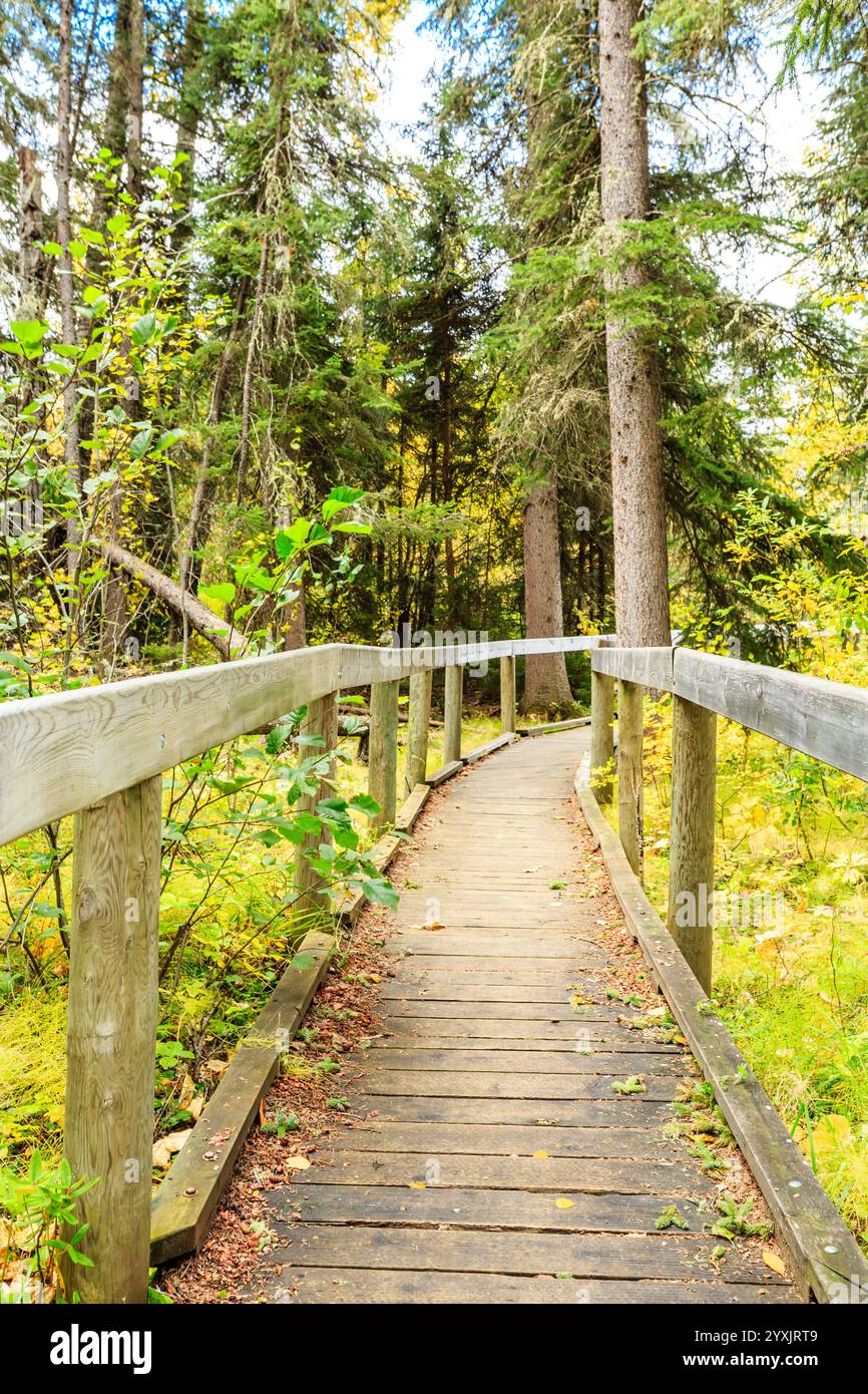 A wooden bridge over a forest path. The bridge is wooden and has a ...