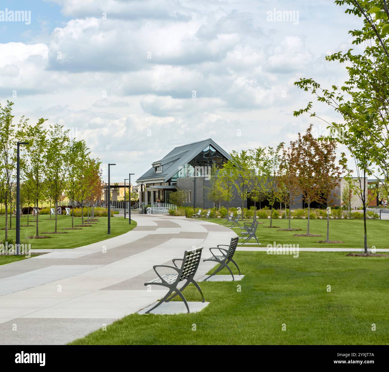 Young trees line sidewalk hi-res stock photography and images - Alamy