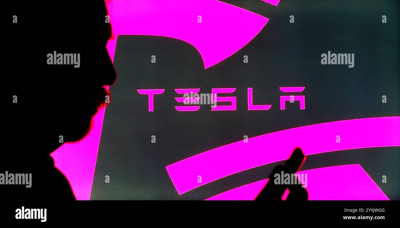 Germany. 16th Dec, 2024. In this photo illustration, the Tesla logo ...