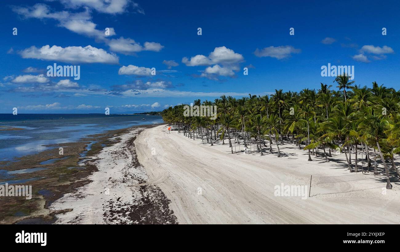 A scenic view of a pristine tropical beach lined with lush palm trees ...