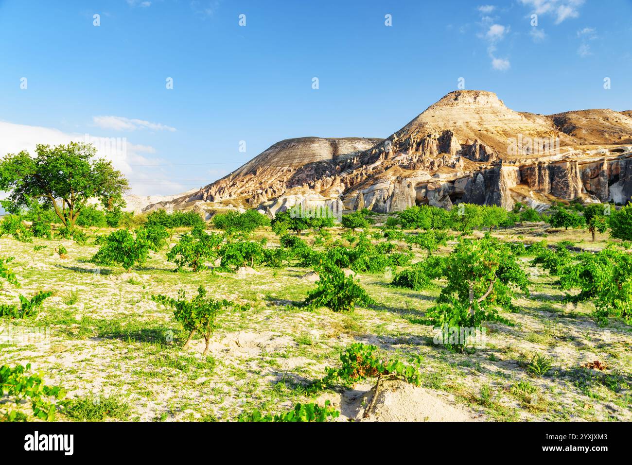 Awesome landscape of Pasabag valley in Cappadocia, Turkey Stock Photo ...