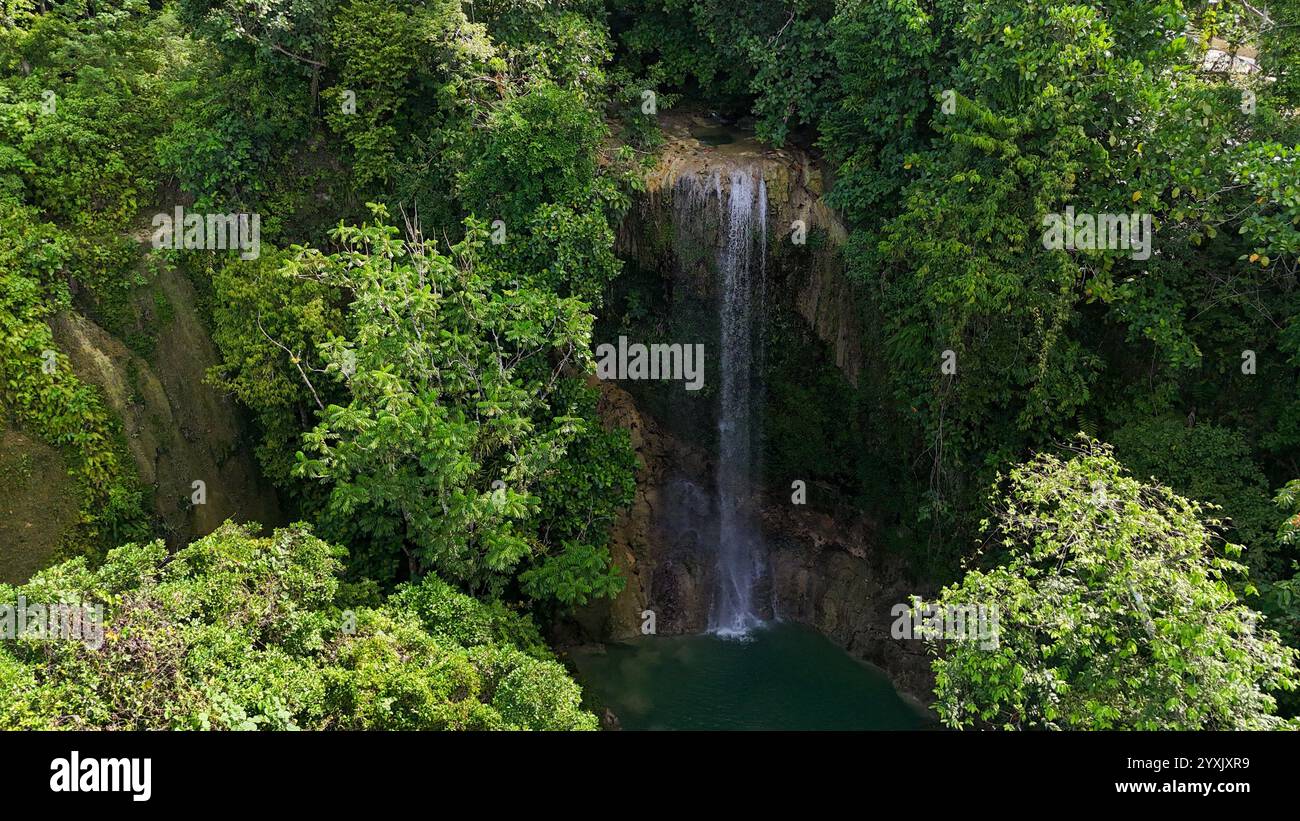 A breathtaking view of a tall waterfall cascading into a serene pool, surrounded by dense ...