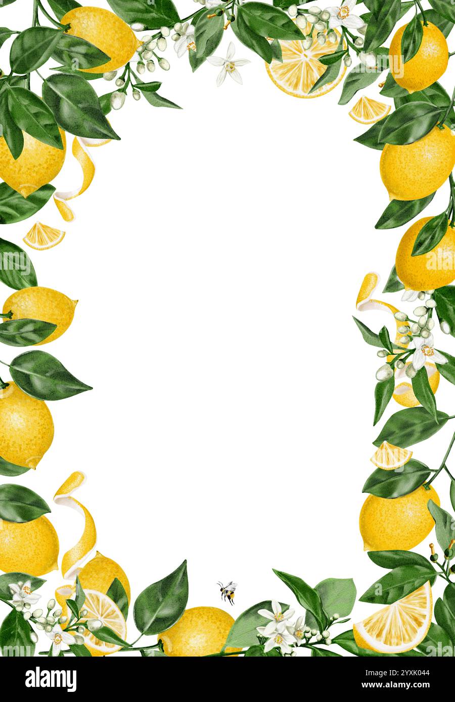 Frame of lemons and flowers. Botanical frame with orange blossom ...