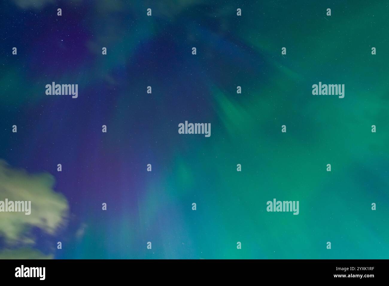 Stunning Aurora borealis display, green and purple lights paint the ...