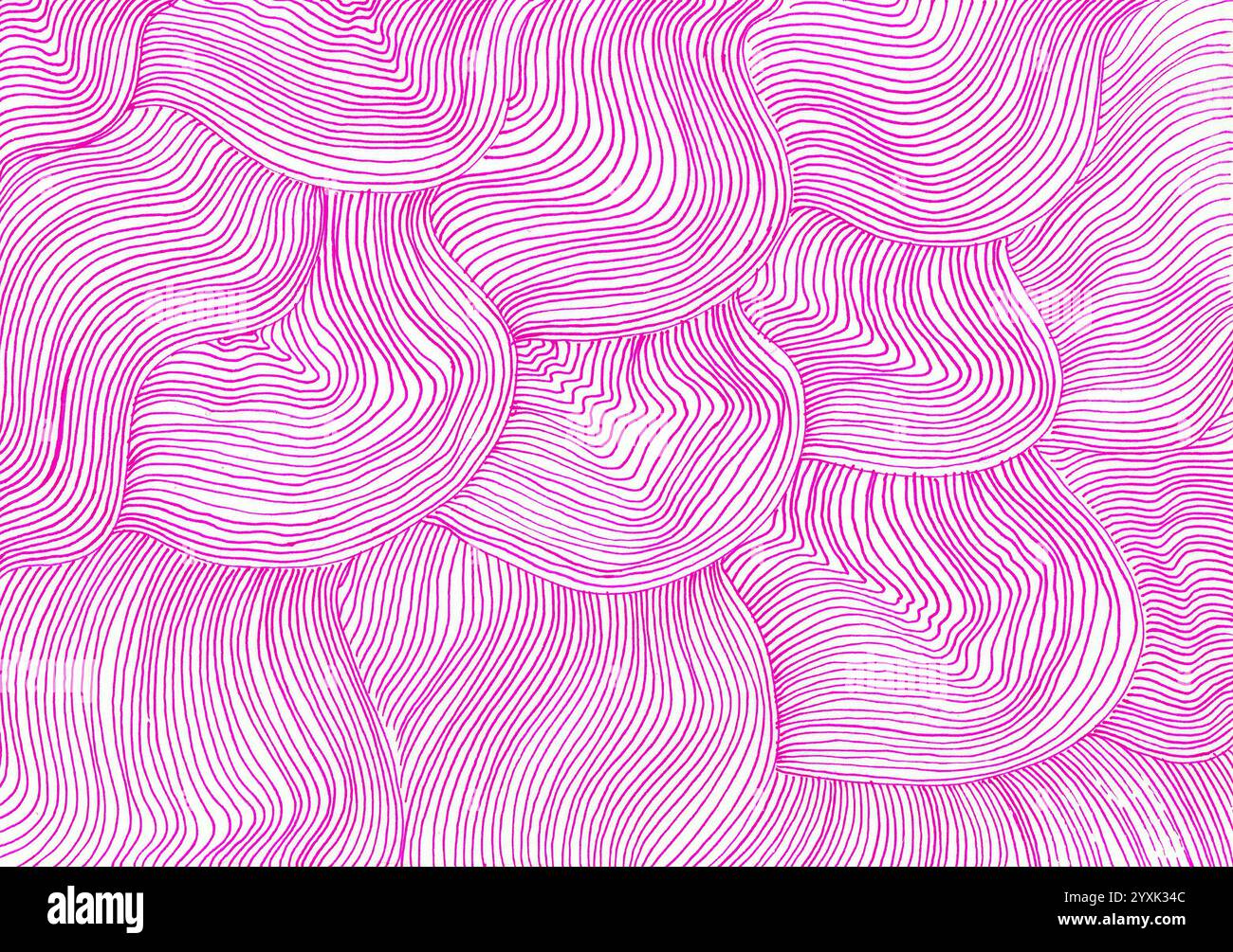 Abstract texture background. Thin pink lines on white. The lines are ...