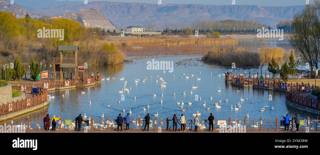 Tourists admire winter scenery at Yellow River wetland in Sanmenxia ...