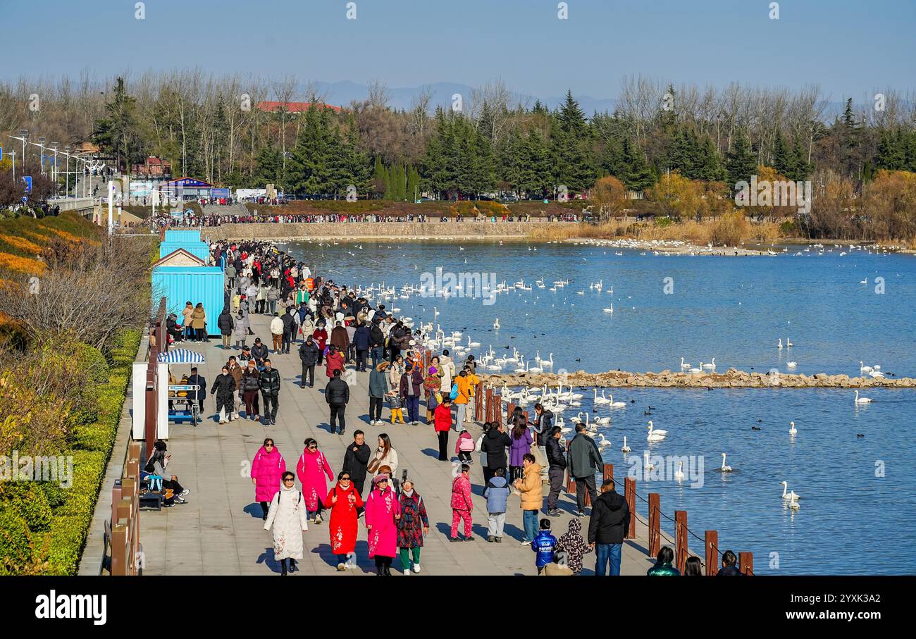Tourists admire winter scenery at Yellow River wetland in Sanmenxia ...