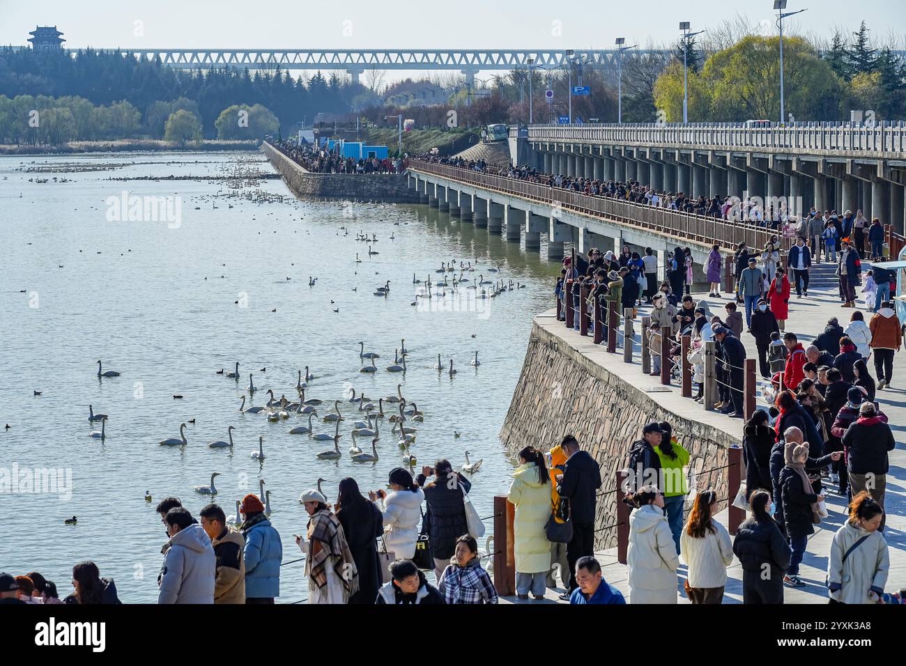 Tourists admire winter scenery at Yellow River wetland in Sanmenxia ...