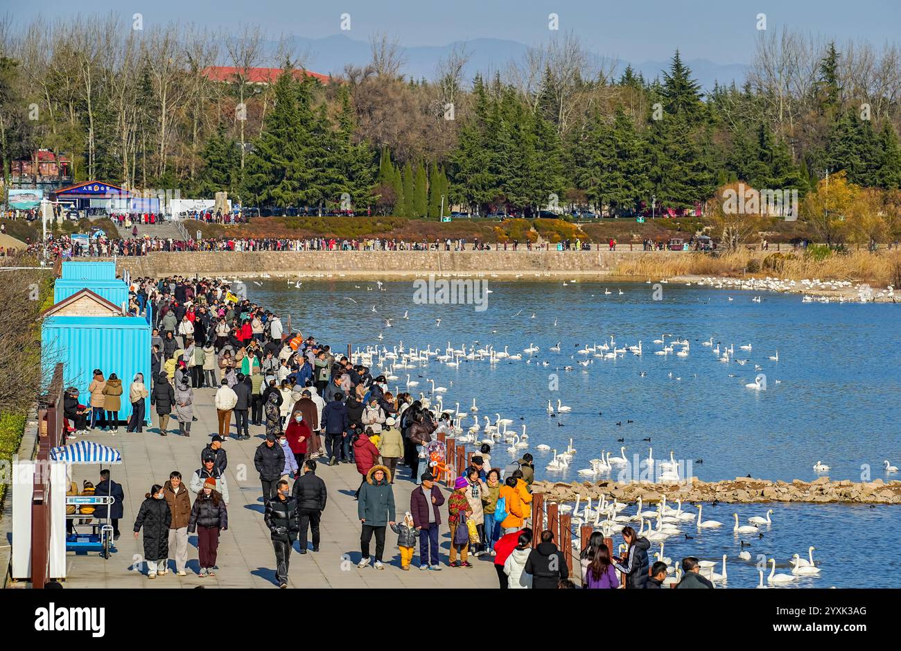 Tourists admire winter scenery at Yellow River wetland in Sanmenxia ...