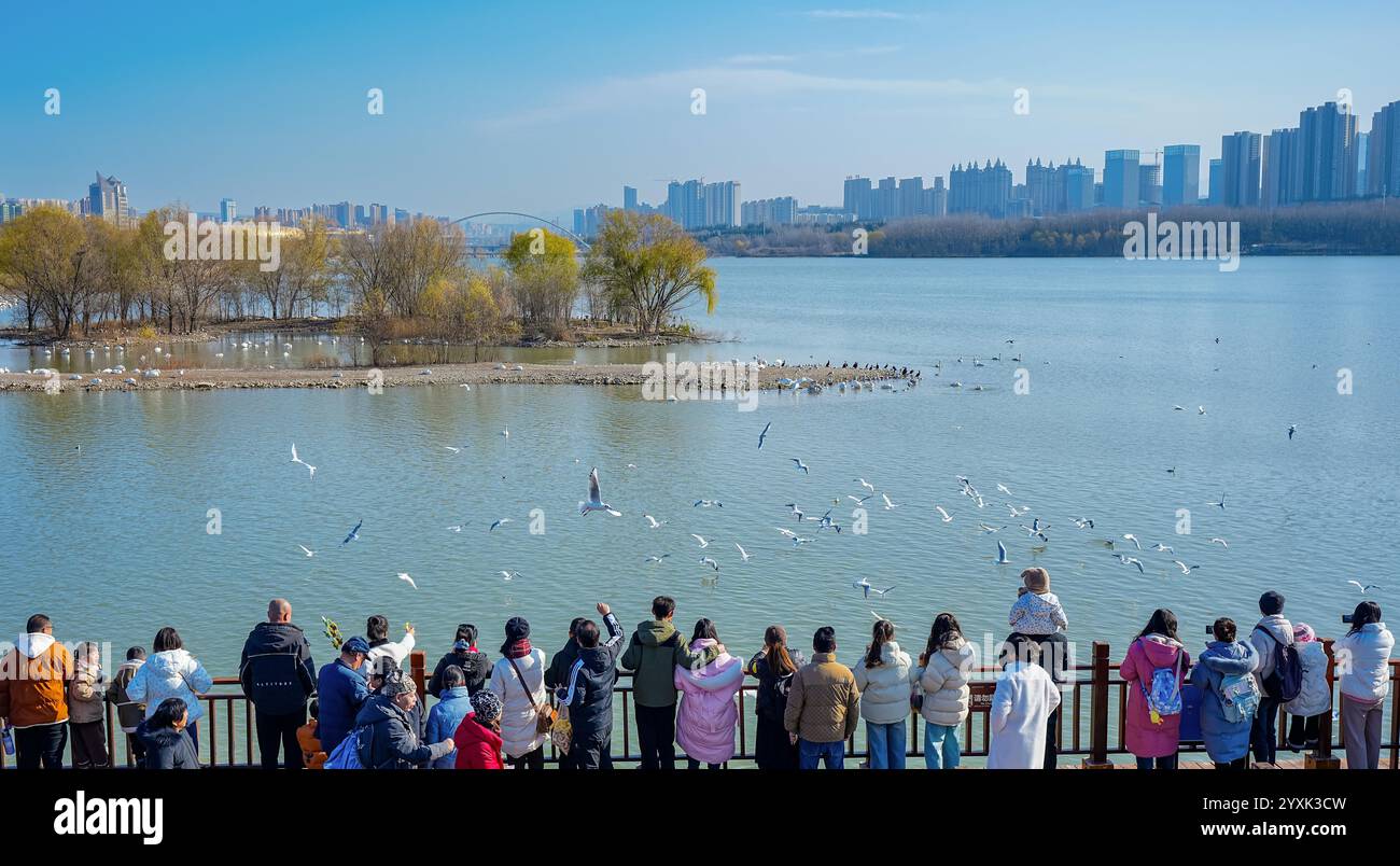 Tourists admire winter scenery at Yellow River wetland in Sanmenxia ...