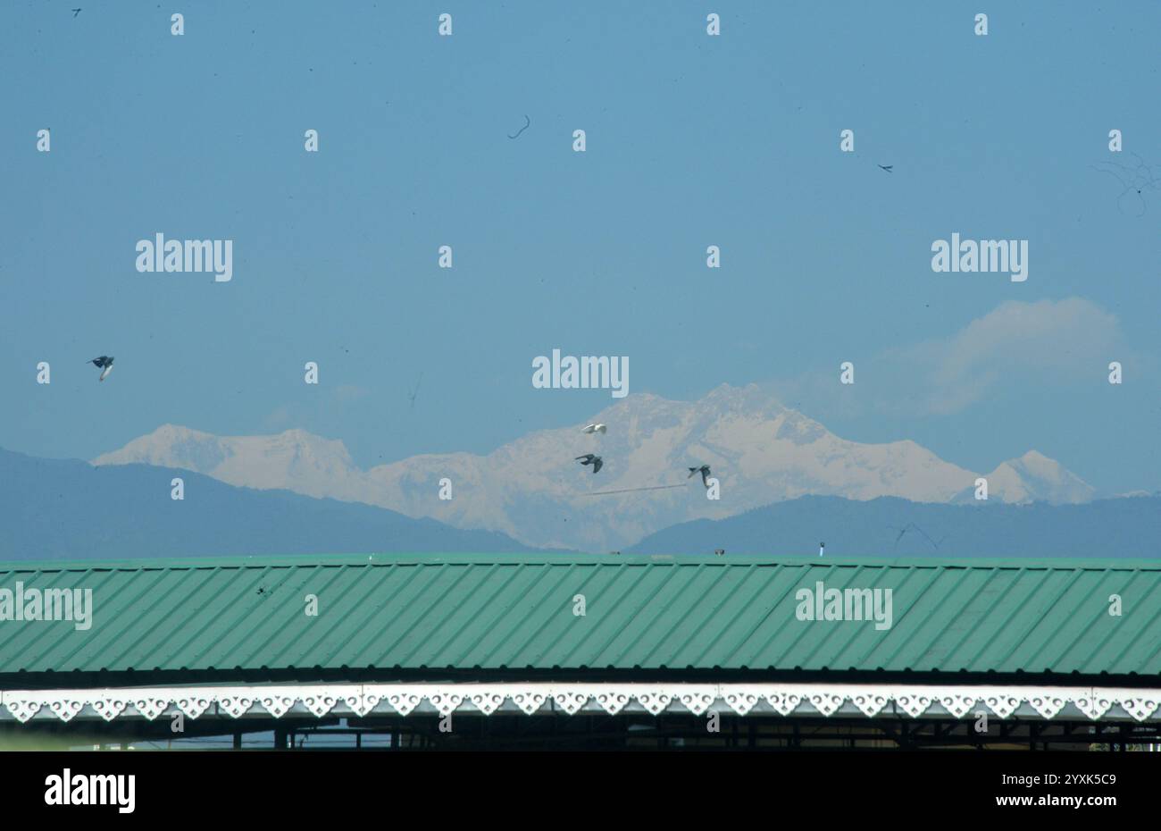 Siliguri, West Bengal, India. 17th Dec, 2024. Mount Kanchenjunga is ...