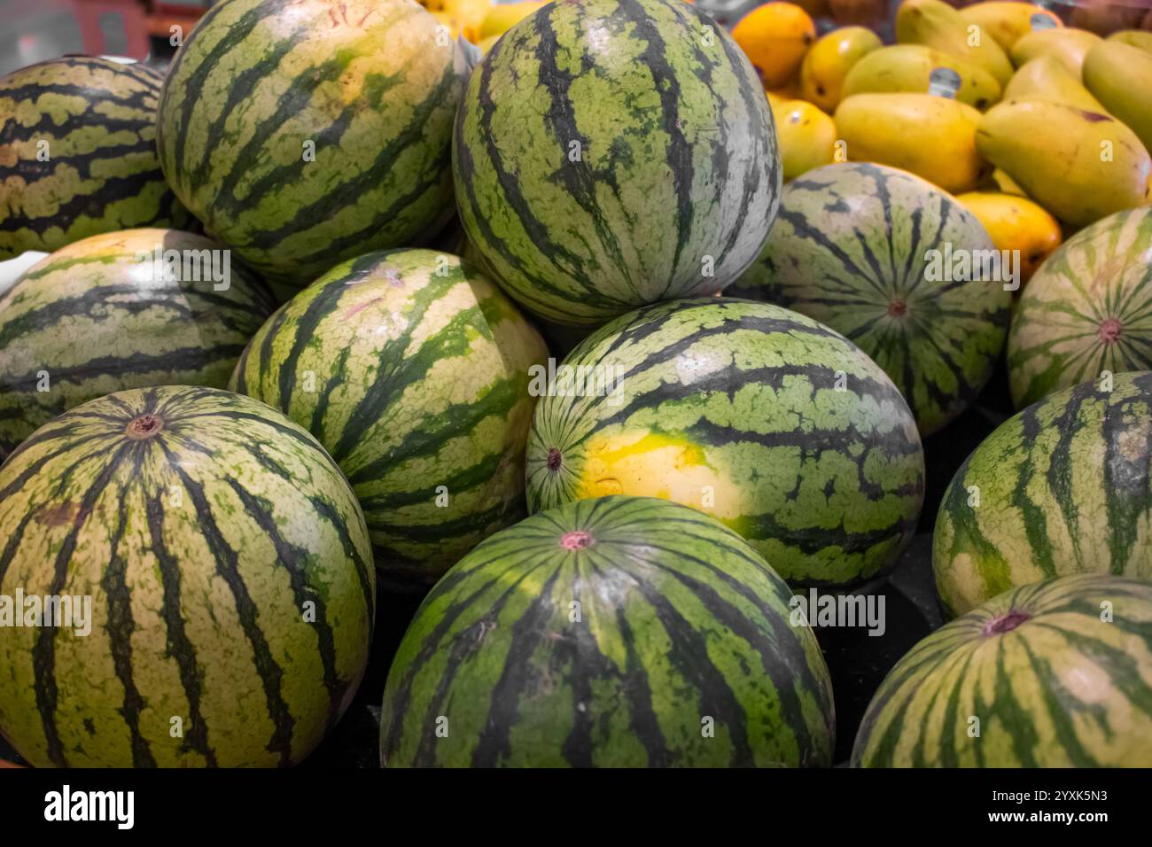 A view of several personal seedless watermelons on a table at the ...