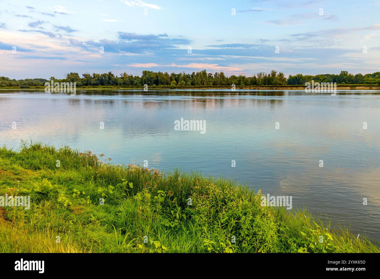 Vistula river landscape at summer early evening with riverside with ...