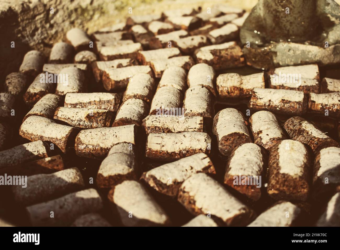 A view of an antique fountain with faded wine cork pieces floating on ...
