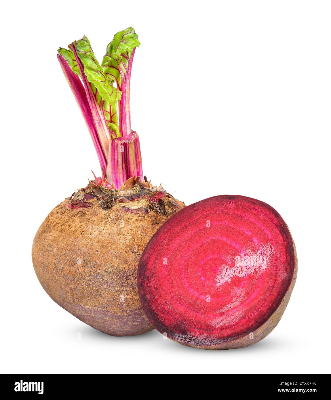beetroot vegetable isolated on white background. beetroot clipping path ...