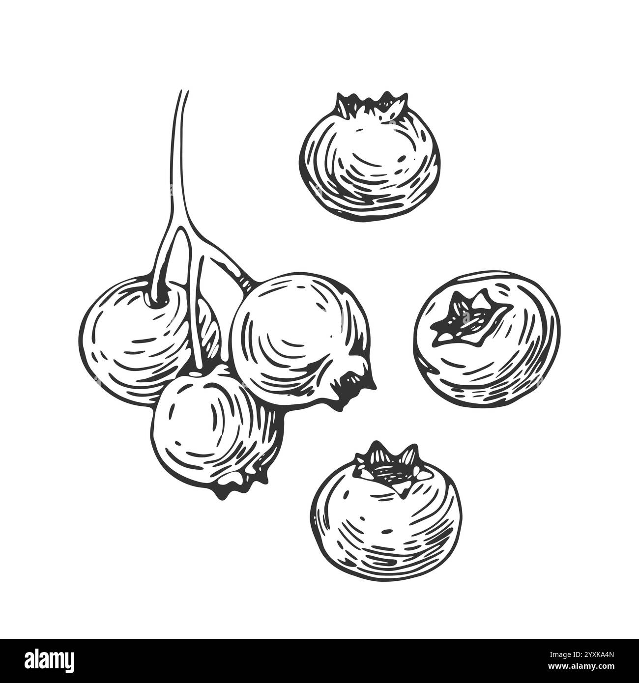 Set black white hand Black and White Stock Photos & Images - Alamy