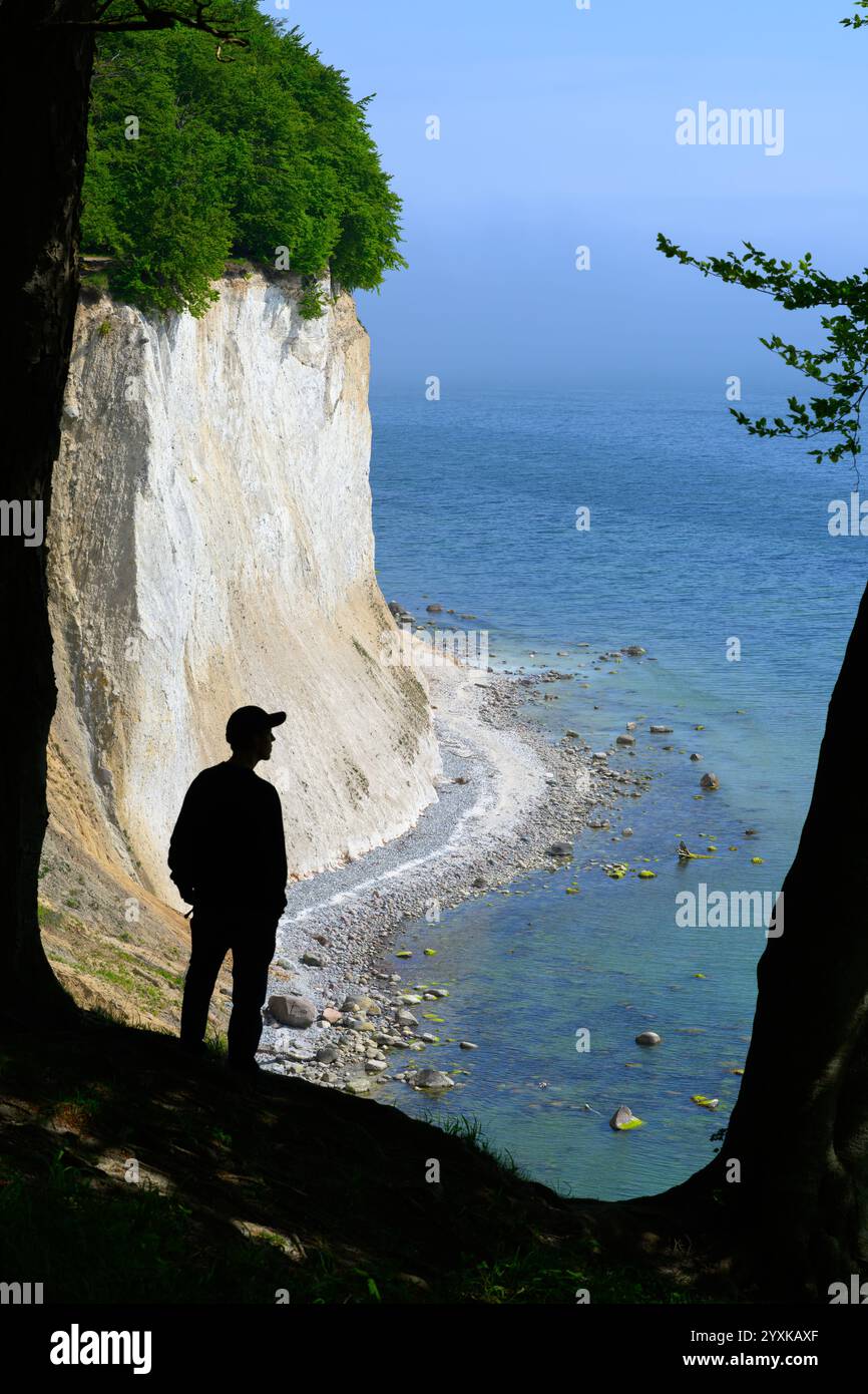 Man standing on the cliff of the chalk cliffs in the national park ...