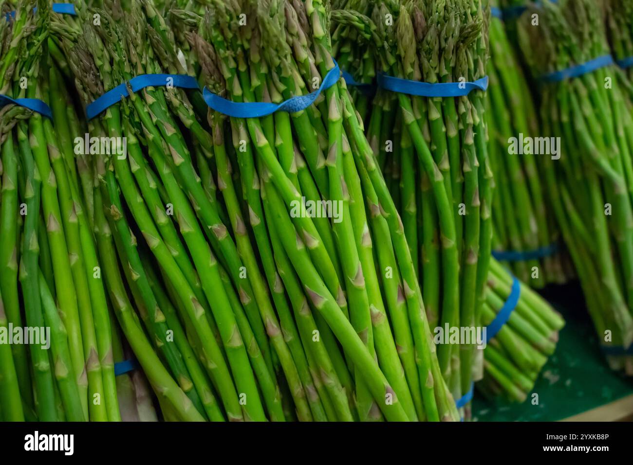A view of several bunches of asparagus, on display at a local grocery ...