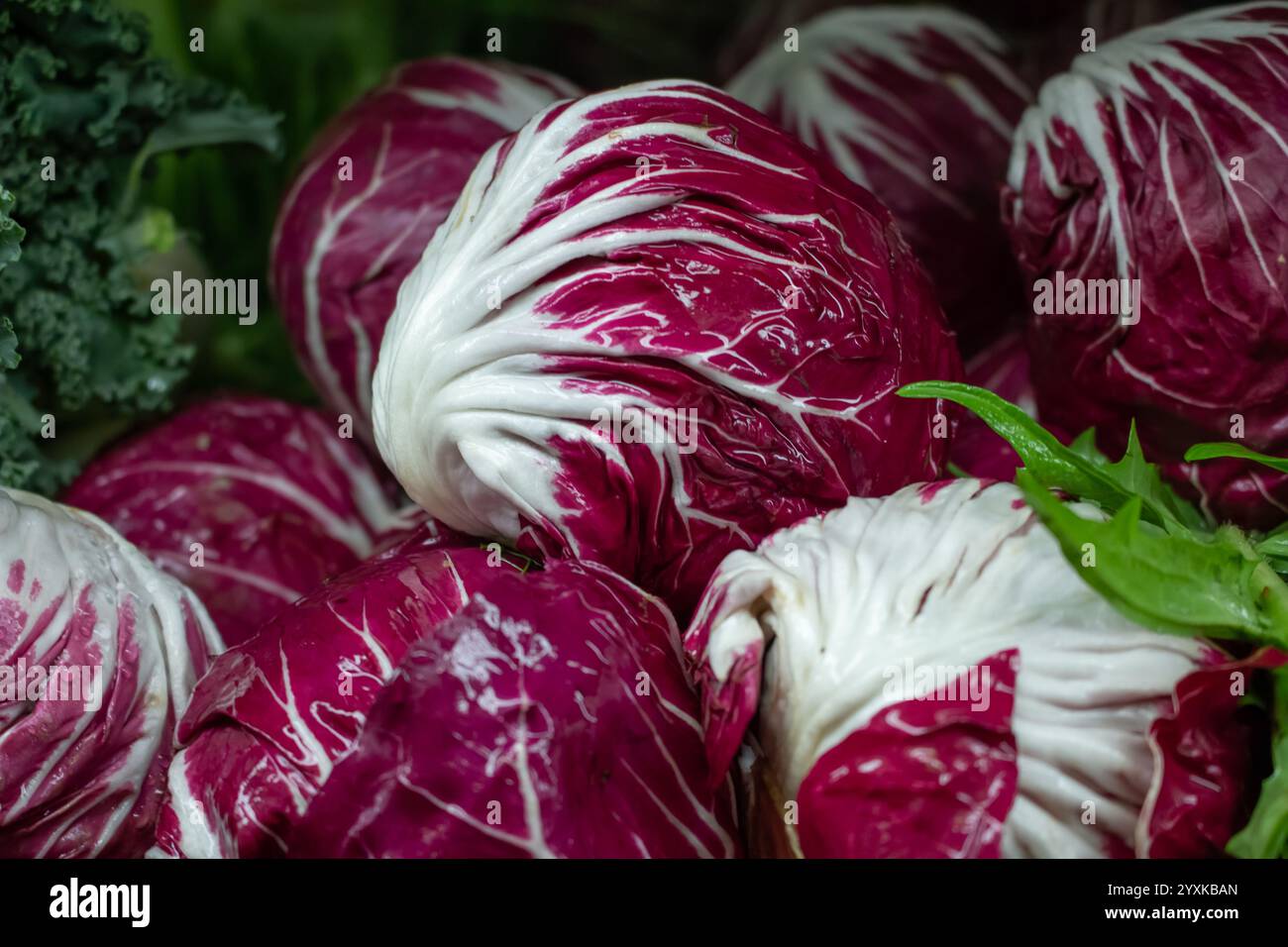 Radicchio grocery store hi-res stock photography and images - Alamy