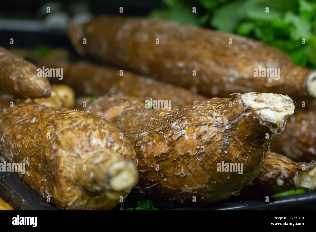 A closeup view of a pile of cassava, at the grocery store Stock Photo ...