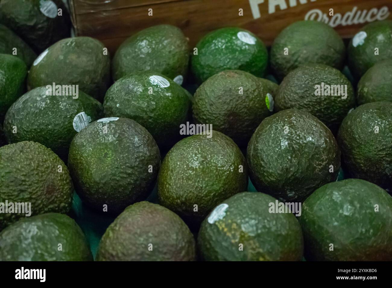 Los Angeles, California, United States - 04-05-2019: A view of several ...