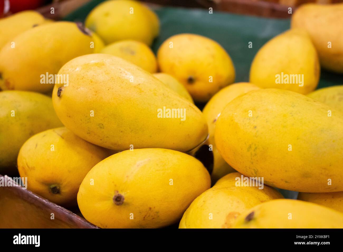 A view of several mangoes on display at the grocery store Stock Photo ...