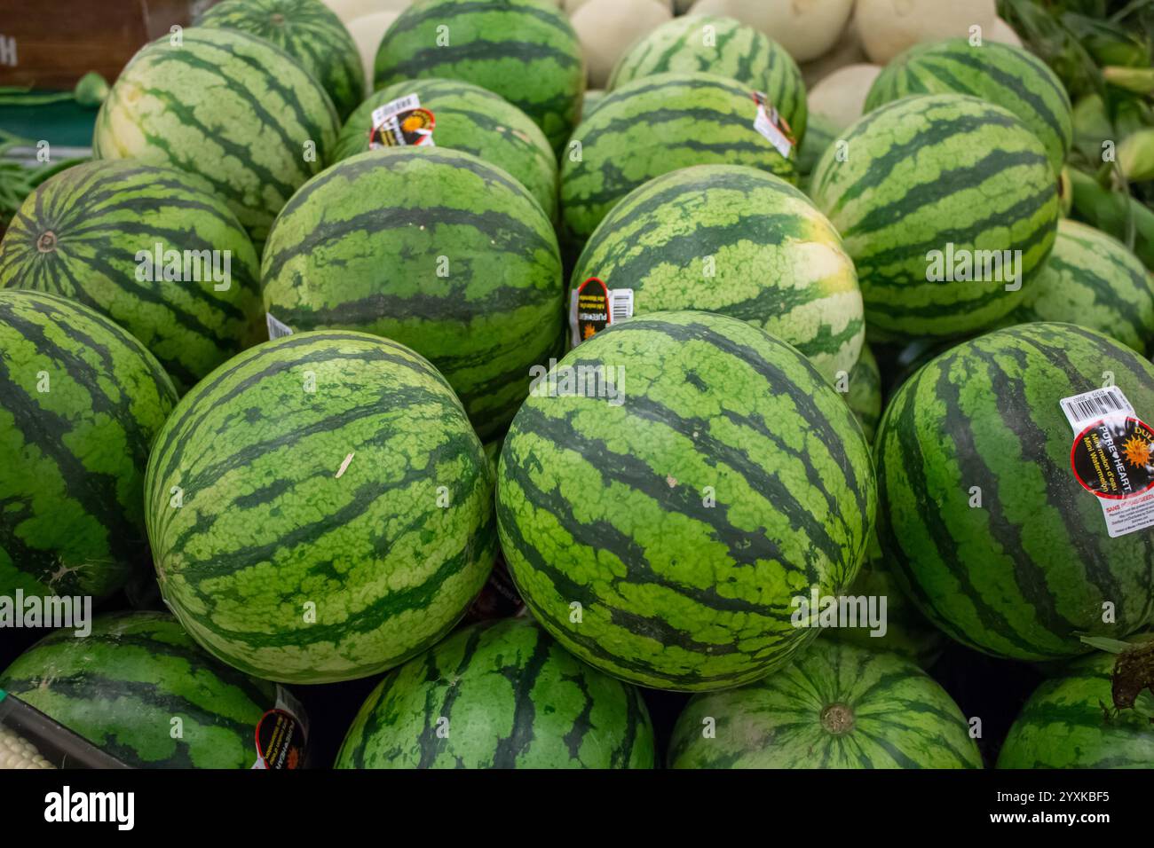Los Angeles, California, United States - 04-05-2019: A view of several ...
