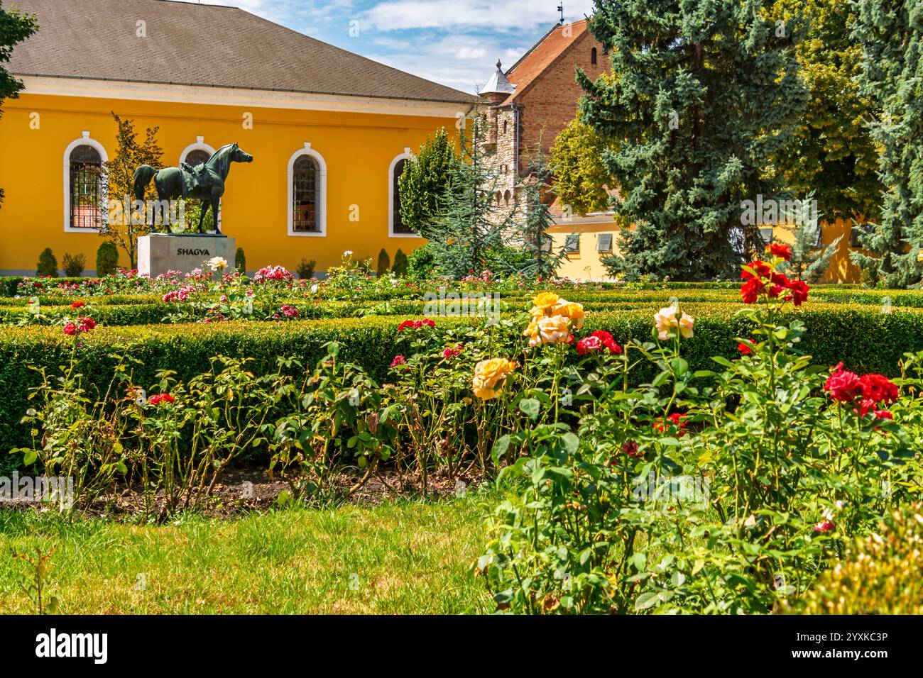 Park in the Babolna National Stud in Hungary Stock Photo - Alamy