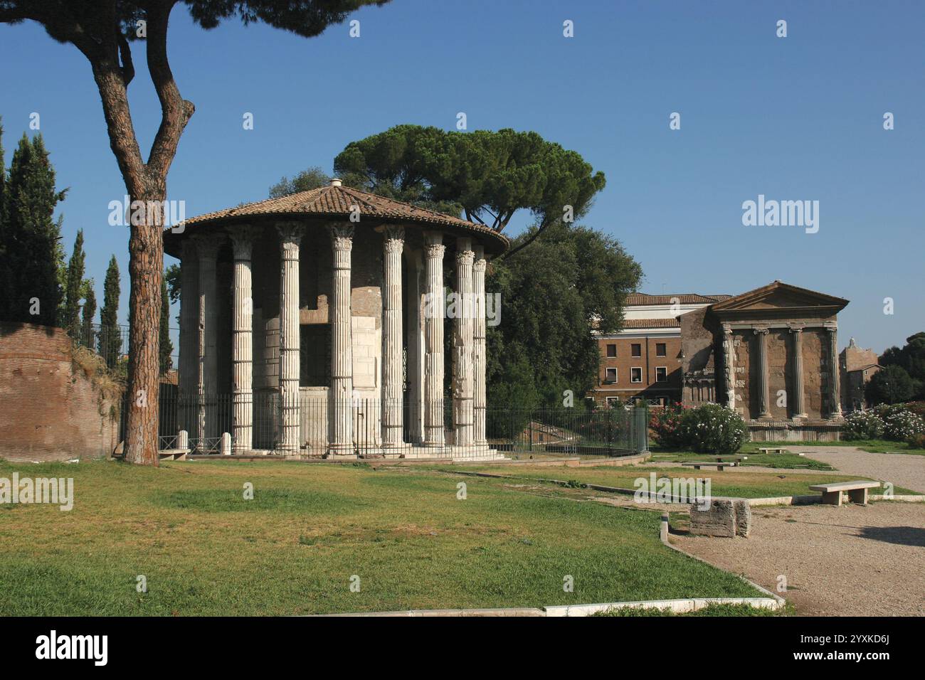 Hercules the olive bearer hi-res stock photography and images - Alamy